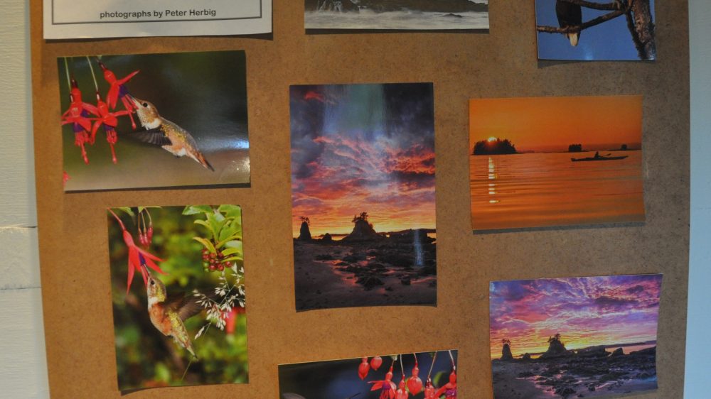 Eileen Scott Centennial Park – Information center, gifts, & museum